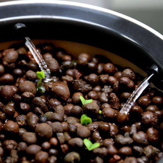 Botanium - Voeding - Nutrients | bol