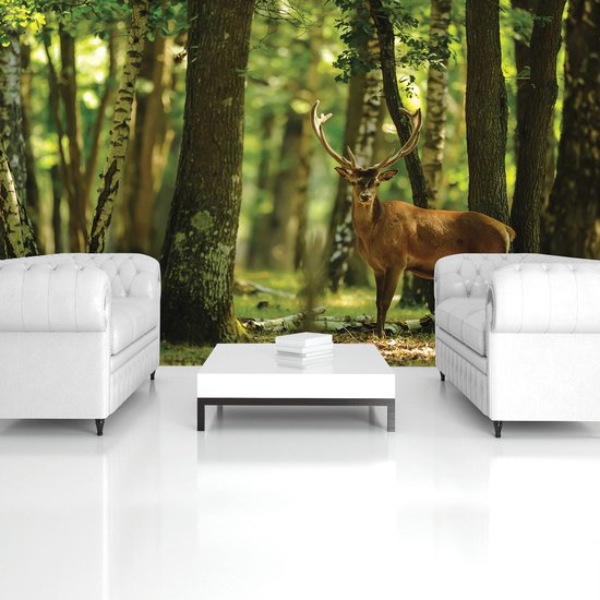 Fotobehang - Vlies Behang - Hert bij de Bomen in het Bos - 254 x 184 cm ...