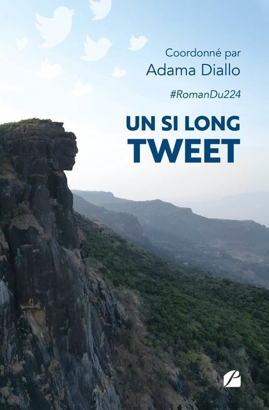 Roman - Un si long tweet (ebook), Adama Diallo | 9782754763295 | Boeken ...