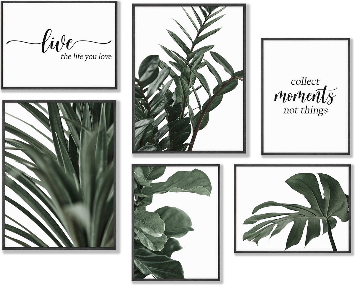 Planten Poster Set - Inspirerende Wanddecoratie - Stijvolle Muur ...