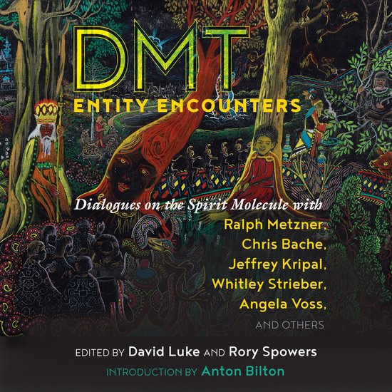 DMT Entity Encounters | 9781644116180 | Boeken | bol