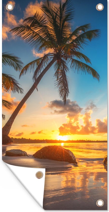 Schuttingposter Strand - Zee - Palmboom - Zonsondergang - 100x200 cm ...