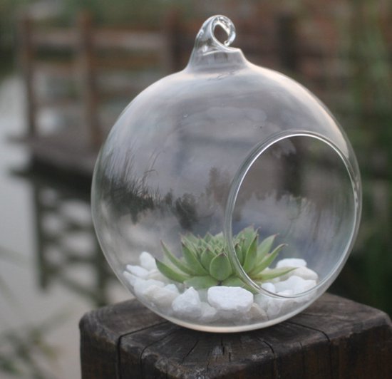 2stuks - Glazen bol- terrarium bol- ornament voor decoratie - hangend | bol