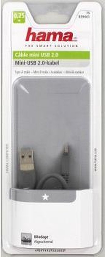 Hama Con.Usb Type A-Mini B0.25 | bol
