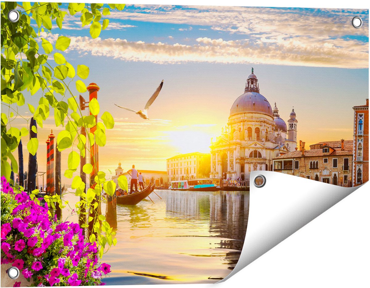 Gards Affiche de jardin Prairie violette transparente - 180x120 cm ...