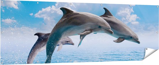 Gards Tuinposter Dolfijnen Springen uit de Blauwe Zee - 210x70 cm ...