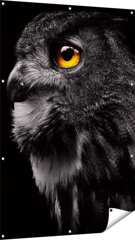 Gards Tuinposter Zwarte Uil met Gouden Ogen - 100x150 cm - Tuindoek ...