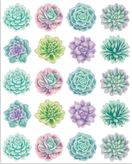 Vetplant Stickers - Stickervellen Volwassenen - Hobbystickers - Kaarten ...