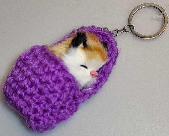 Een schattig en lief poesje (10cm x 5cm) slapend in een pantoffel. Een ...