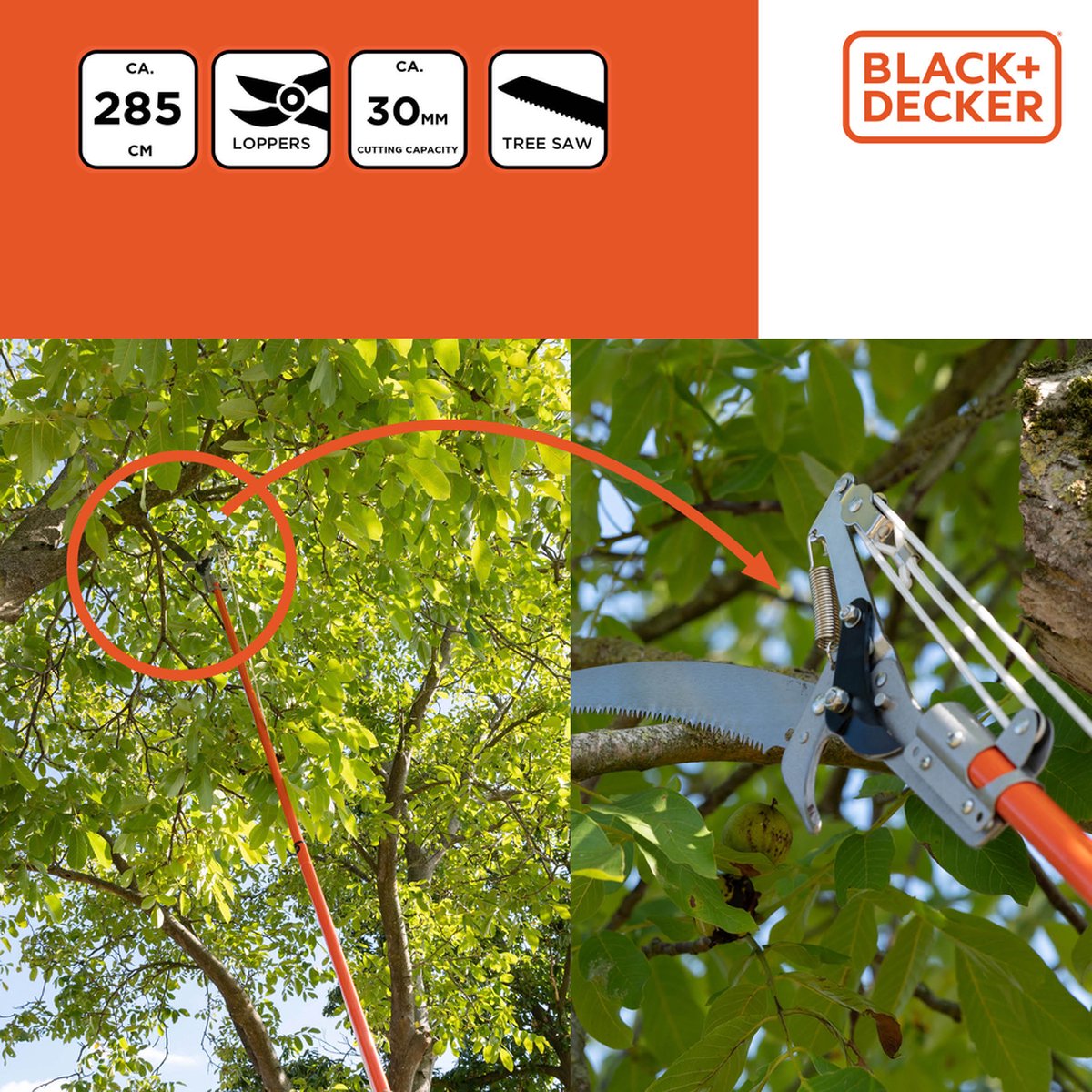 BLACK+DECKER 2-in-1 Boomzaag en Takkenschaar - Telescopische Stang tot ...