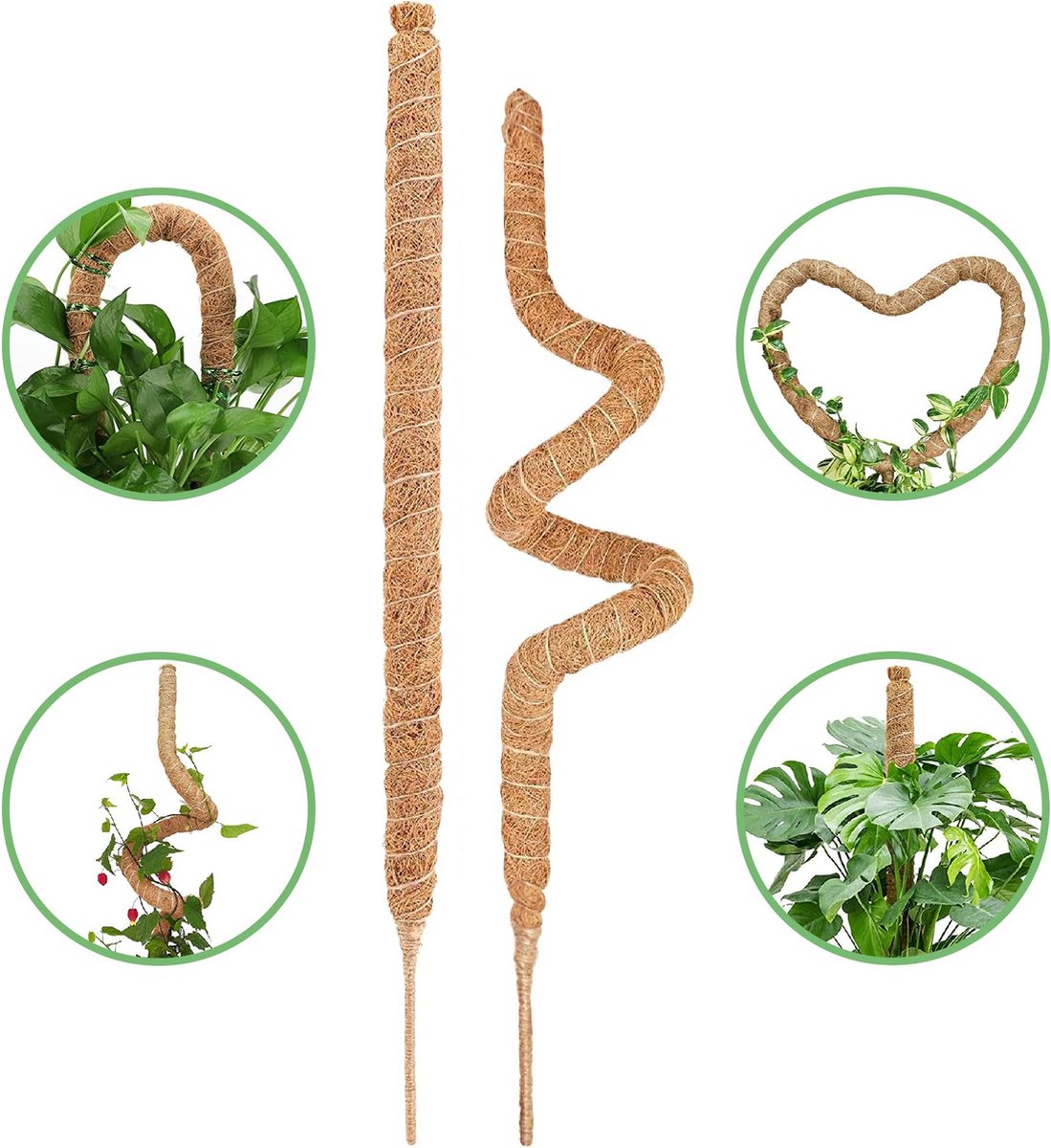 Mosstok - Plantenstok - Mosstok voor planten - Mosstok kamerplant ...