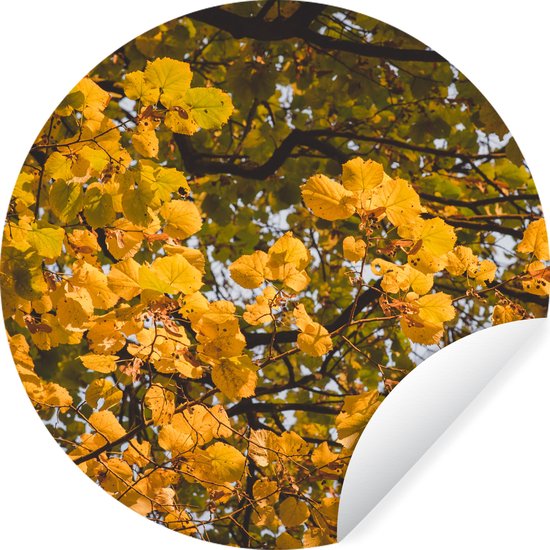 WallCircle - Muurstickers - Behangcirkel - Bladeren - Boom - Natuur - Seizoenen - ⌀ 30... | bol