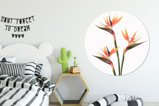 WallCircle - Muurstickers - Behangcirkel - Bloemen - Oranje - Natuur - Planten - ⌀ 140... | bol