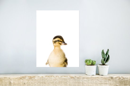 Poster Eend - Geel - Dieren - Natuur - 30x40 cm | bol