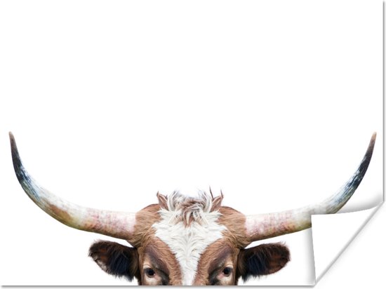 Poster Stier - Dieren - Hoorns - Natuur - 120x90 cm | bol
