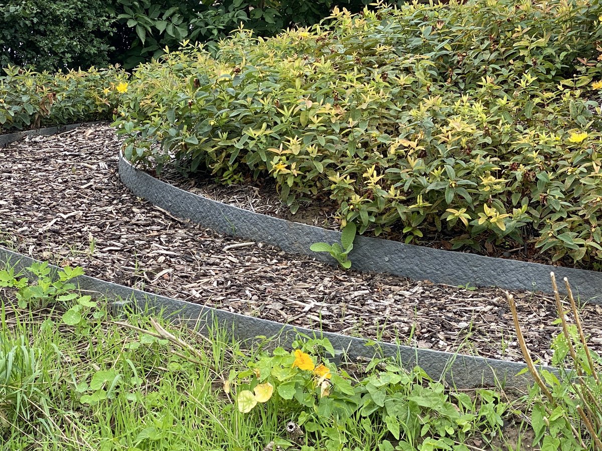 Black Beauty Ecolat - Recyflex - Recy Board Rol 25m - 14cm Zwart | bol.com