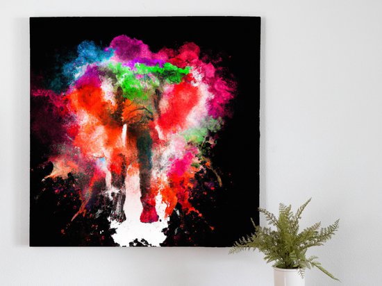 Rainbow Ollie fanta Explosion kunst - 40x40 centimeter op Canvas | Foto ...