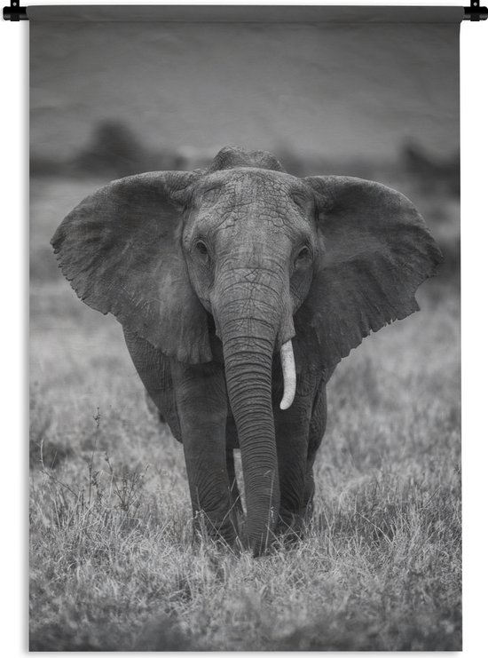 Olifant - Dieren - Safari - Wildlife | bol.com