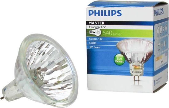 Philips Masterline ES 12V 30W 36D 51mm | bol.com