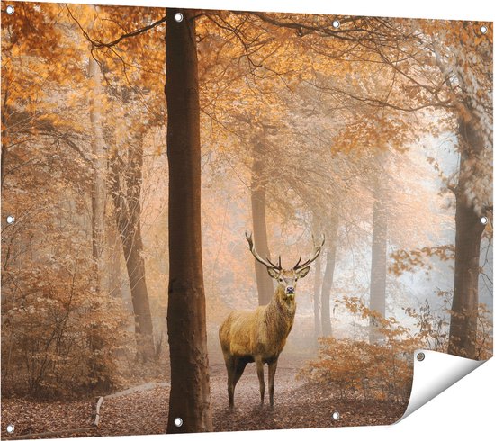 Gards Tuinposter Hert in het Bos - Herfst - 120x90 cm - Tuindoek ...