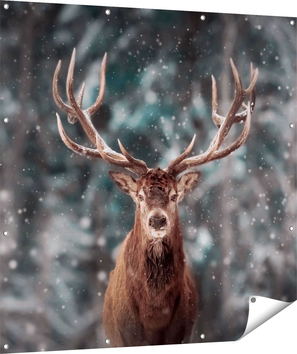 Gards Affiche jardin Tête de cerf - Cerf dans la neige - 120x120 cm ...