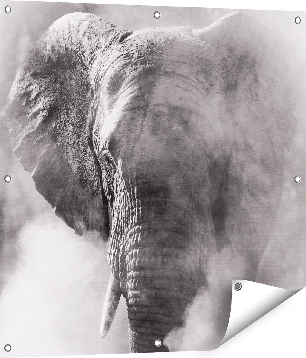 Gards Tuinposter Olifantenkop - Olifant - Zwart Wit - 80x80 cm ...