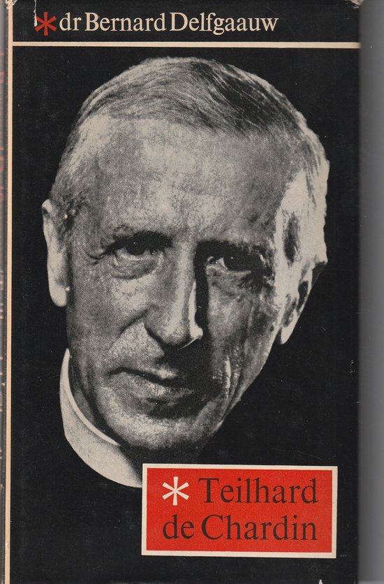 Teilhard de chardin, Delfgaauw | 9789029305167 | Boeken | bol
