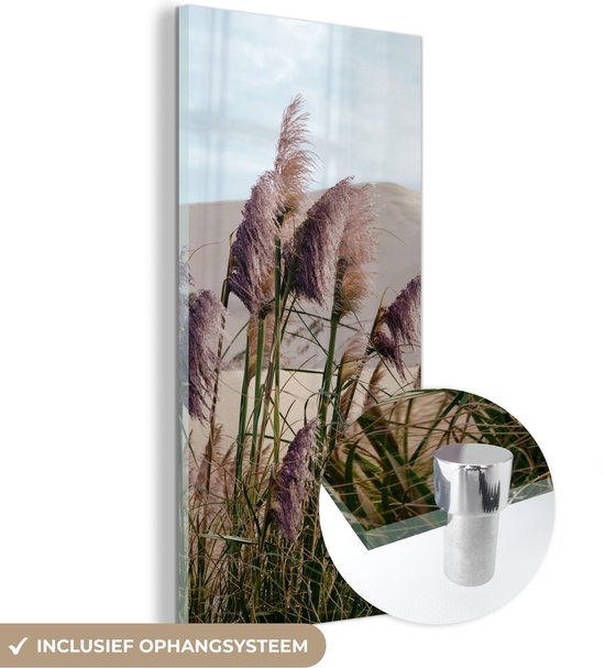 MuchoWow® Glasschilderij 20x40 cm - Schilderij acrylglas - Pampasgras - Zand - Planten... | bol