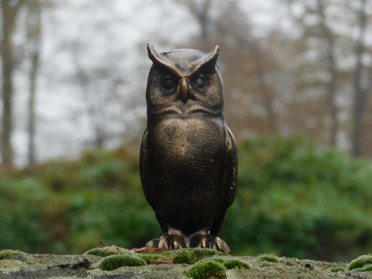 Beeld wijze uil, beeld voor in huis / binnen, gietijzer, sculptuur ...