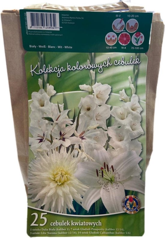 Bloembollen mix Wit 25 bollen - bloembollen mix- 1 Dhalia Biala - 7 ...
