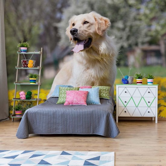 Fotobehang - Vlies Behang - Hond tussen de Paardenbloemen - 254 x 184 cm | bol