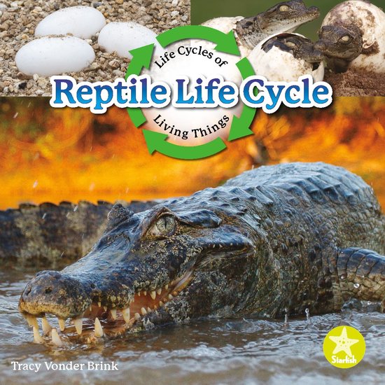 Life Cycles of Living Things - Reptile Life Cycle (ebook), Tracy Vonder ...