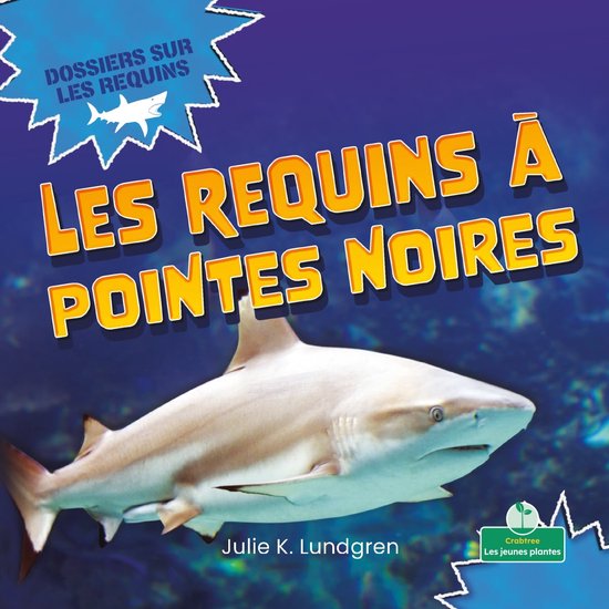 Dossiers sur les requins (Shark Files) - Les requins à pointes noires ...