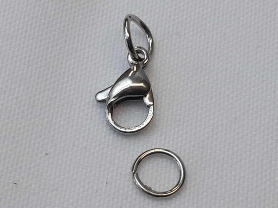 RVS - Karabijn sluiting - 8 setje metaalkleurig - 14mm - incl 2 open ...