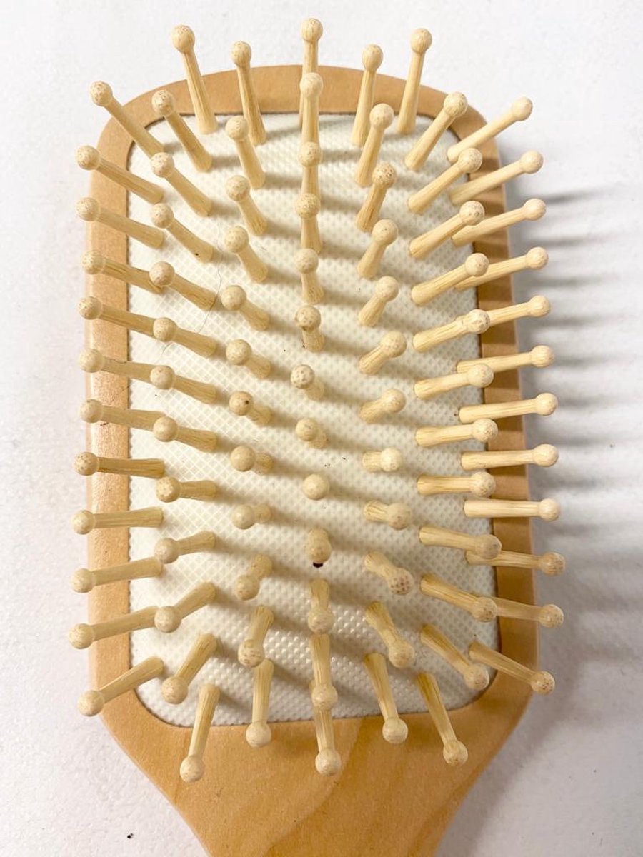 Haarborstel - Hout - Natuurlijke Borstel - Met Houten Pinnetjes - 22.5 ...