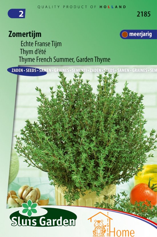 Thym d'été Véritables Graines de thym français : Cultivez du thym ...