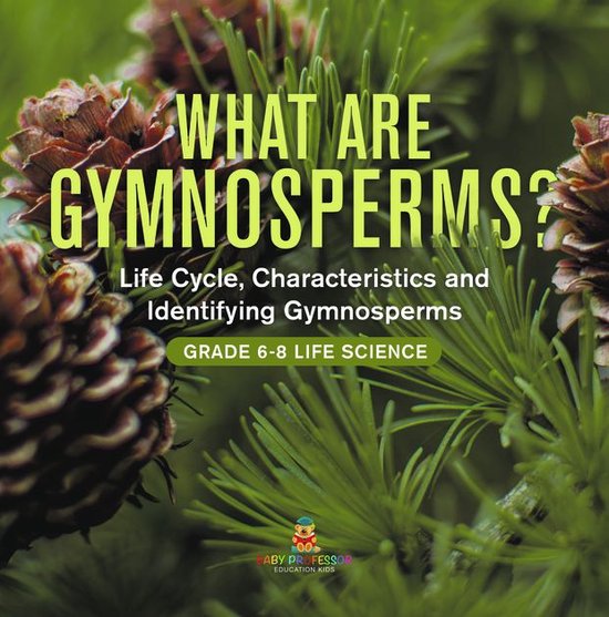 What are Gymnosperms? Life Cycle, Characteristics and Identifying ...