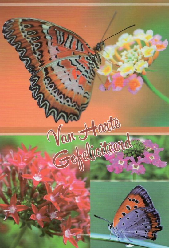 Van harte gefeliciteerd | bol