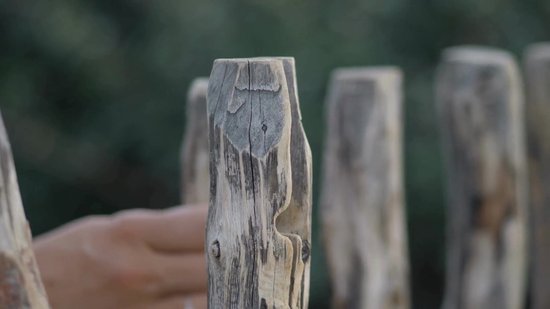 De hulp 3 - De hulp ziet alles, Freida Mcfadden | 9789032520915 ...