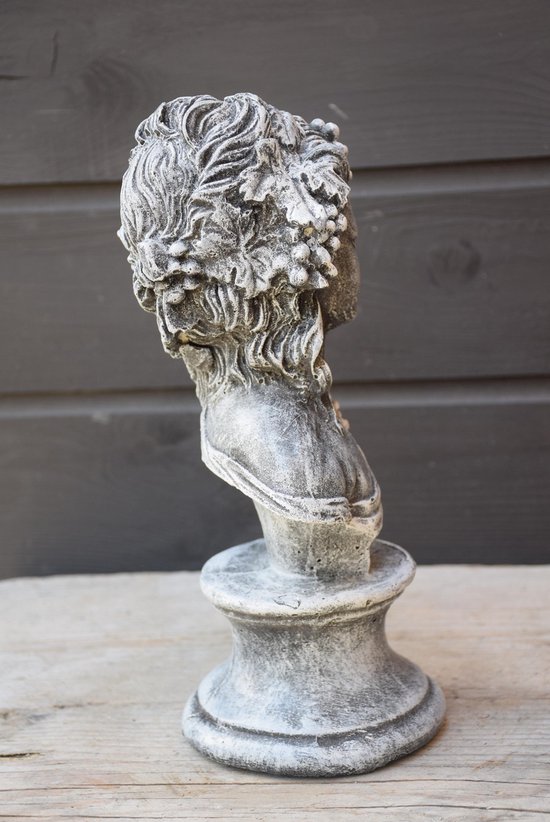 Borstbeeld, vrouw met de haren los | bol.com