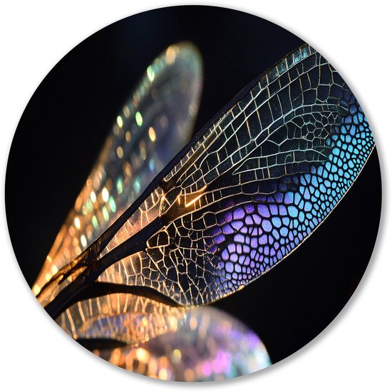 Vleugels van een libelle - Insect schilderij rond - Wandschaal vleugels ...