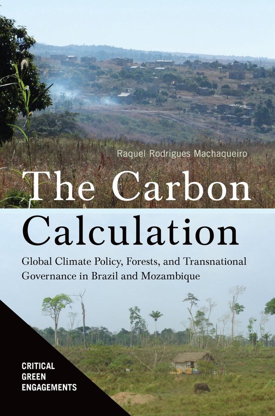 Critical Green Engagements: Investigating the Green Economy and its ...