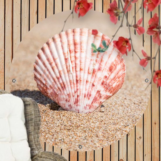Ronde Tuinposter Seashell | bol.com