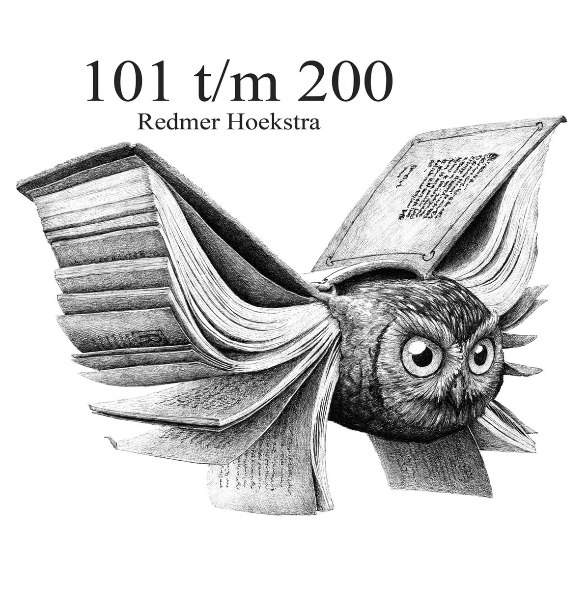 101 tm 200 Tekeningen Redmer Hoekstra, Redmer Hoekstra | 9789083060316 ...
