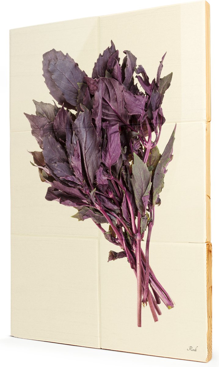 Paarse basilicum XL - 2x3 Steigerhout Tegeltableau | bol.com