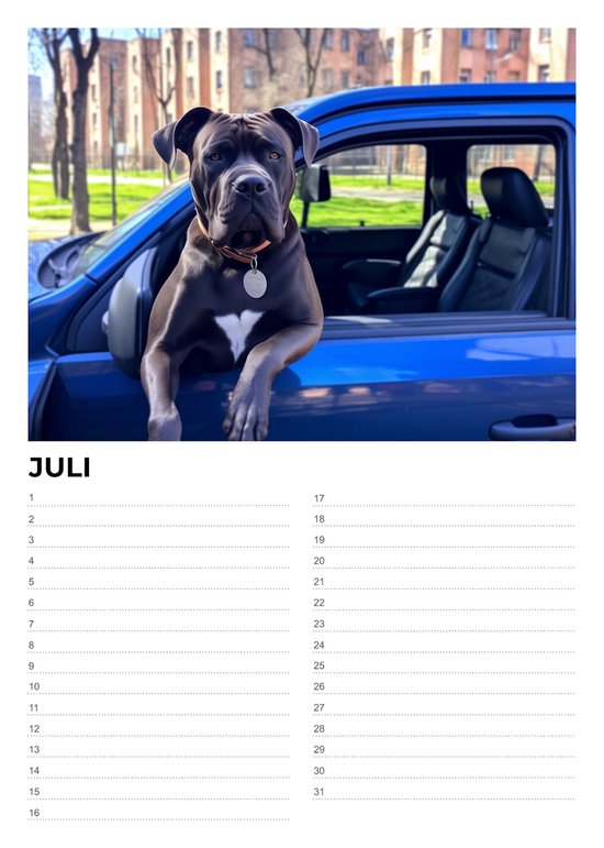 Cane Corso Verjaardagskalender - Majestueuze Uitstraling Elke Maand ...