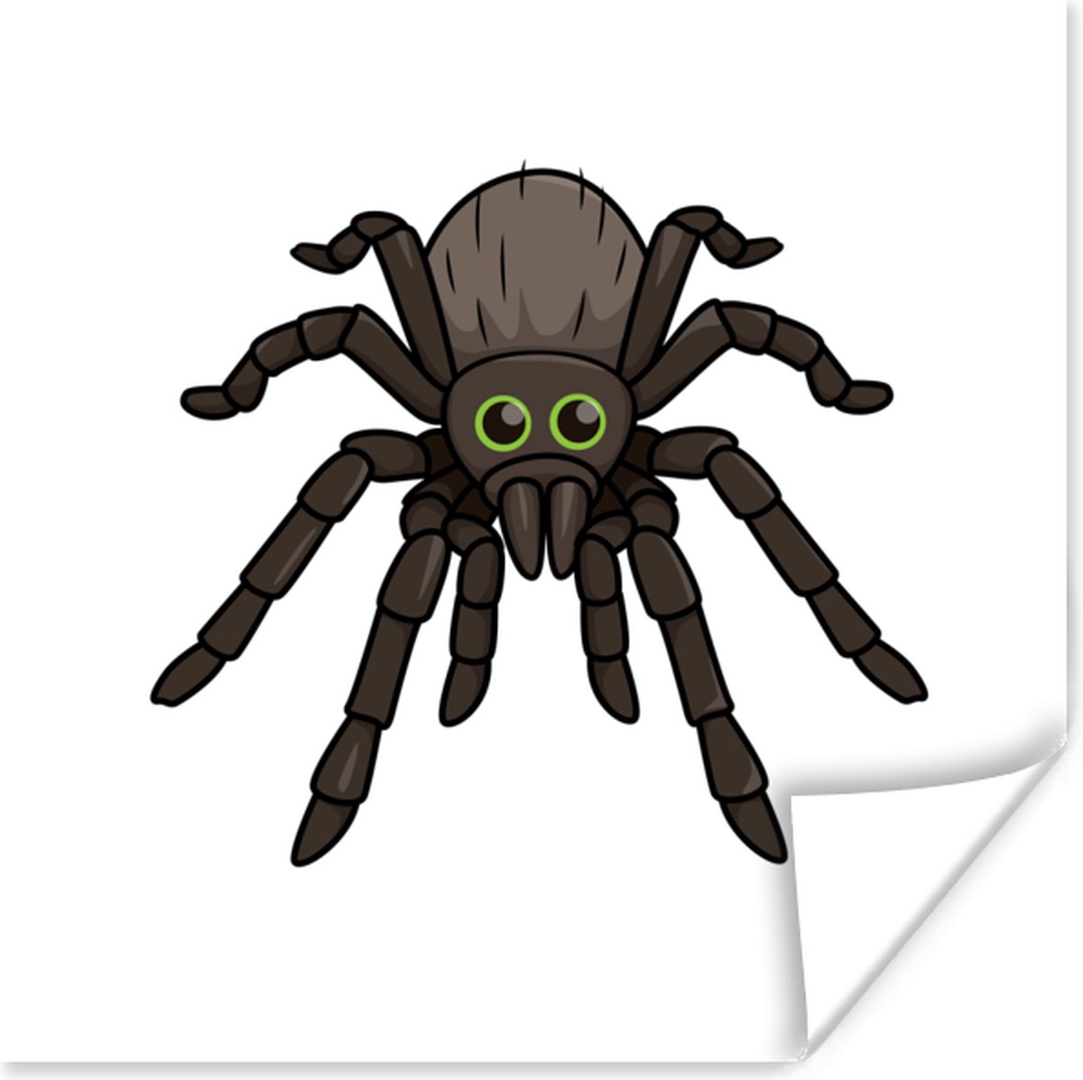 Poster tekening van een spin met groene ogen - 100x100 cm XXL | bol.com