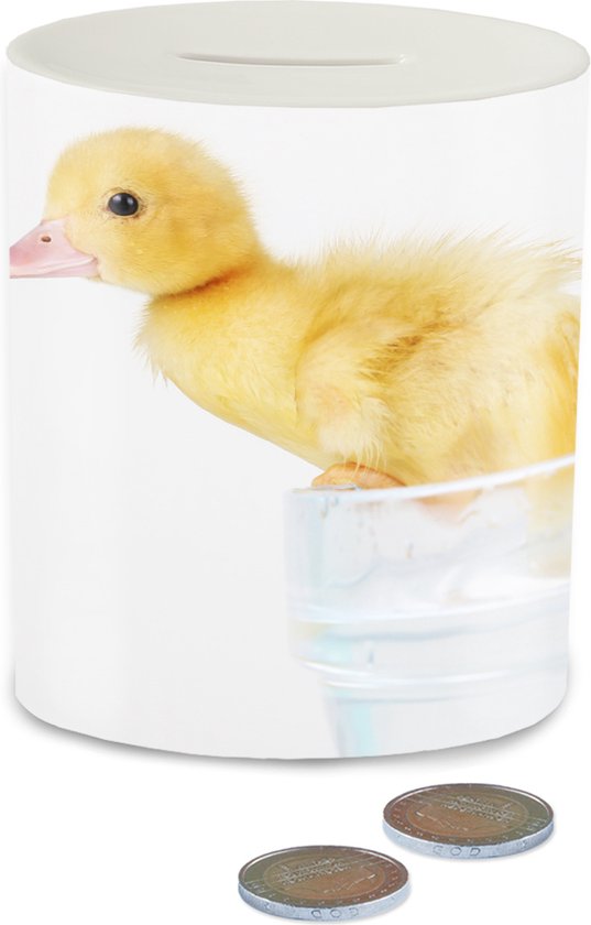 Spaarpot - Spaarblik - Baby eend die uit een bak klimt - Spaarpotten ...