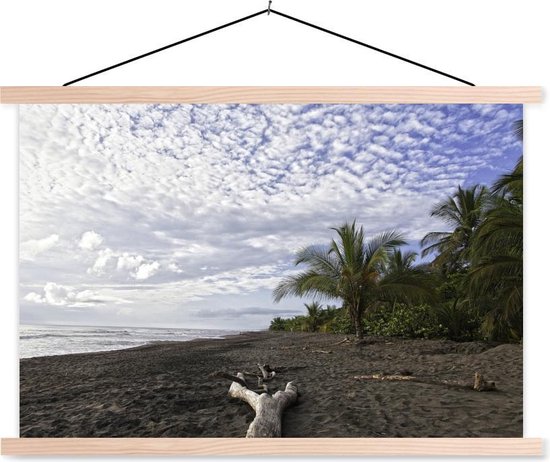 Ciel nuageux sur la plage dans le parc national de Tortuguero affiche ...
