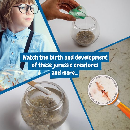 Science4you Jurassic Creatures voor kinderen 6+ - Kweek prehistorische ...